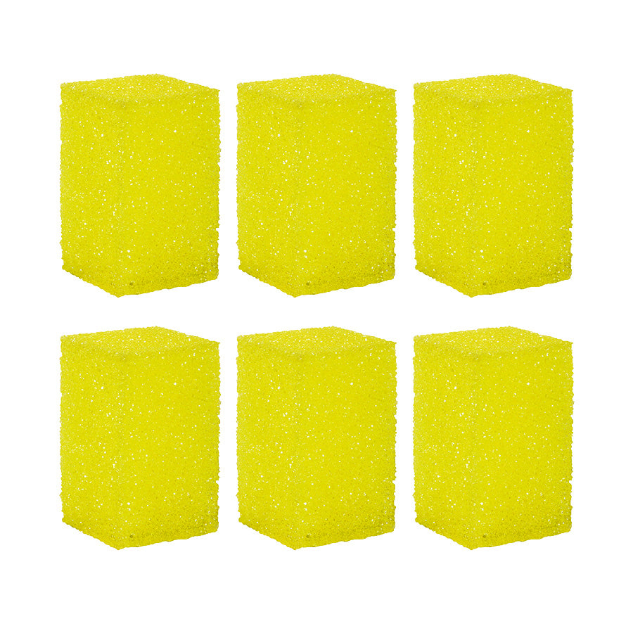 Sure Scrub™ 2.0 Sponges, 6-Pack – NANOSKIN Car Care Products